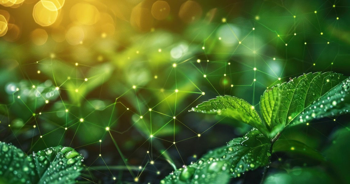 info@vitaplantegypt.com +201090986292